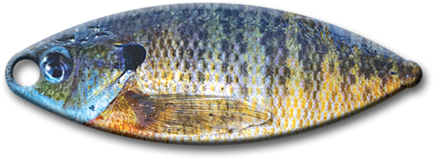 Worth - Custom Colors