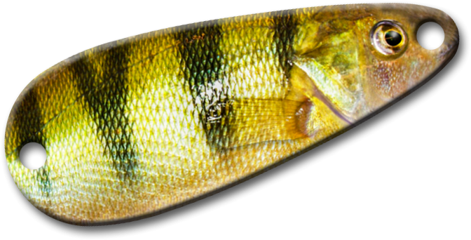 Worth - Custom Colors